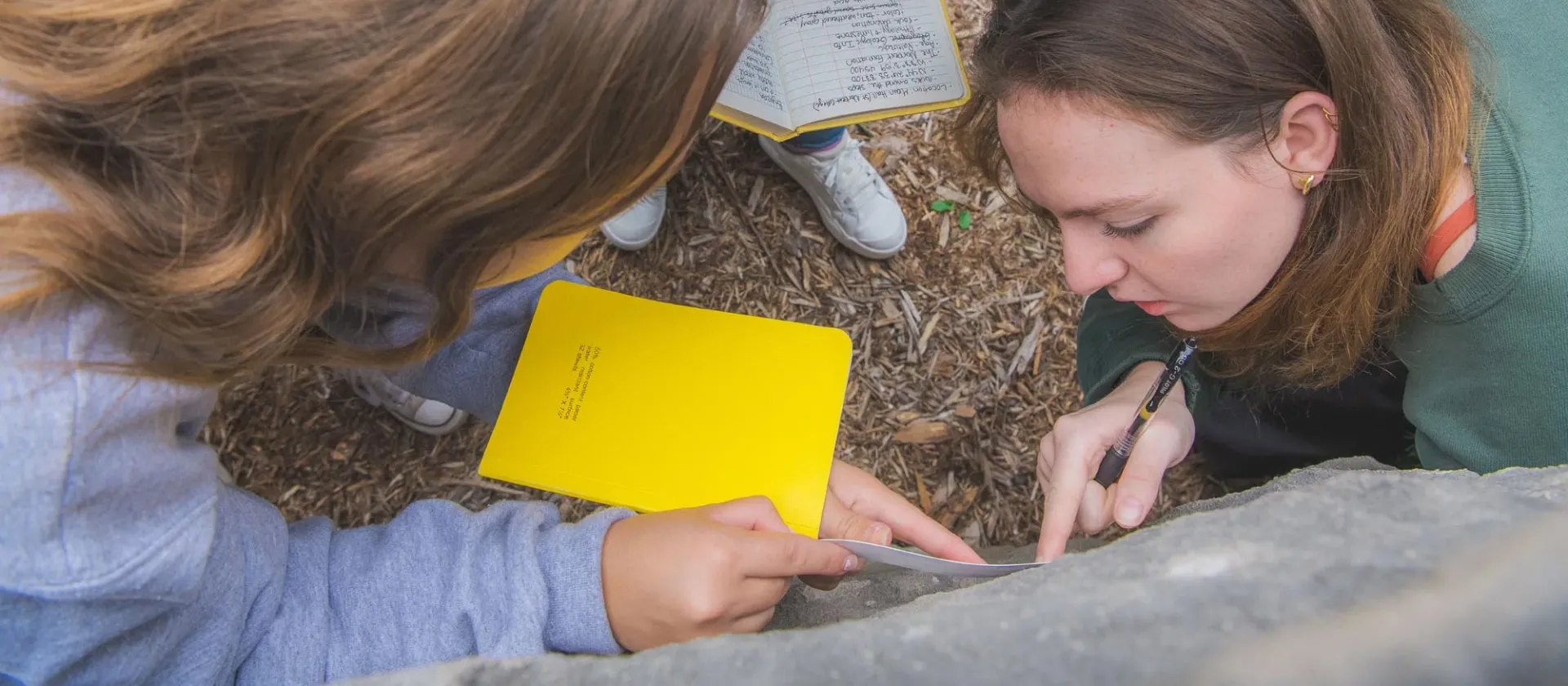 Natural Science Major & Course Offerings | St. Norbert College
